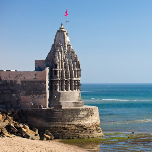 Sanchara Padham Tours & Travel Solutions